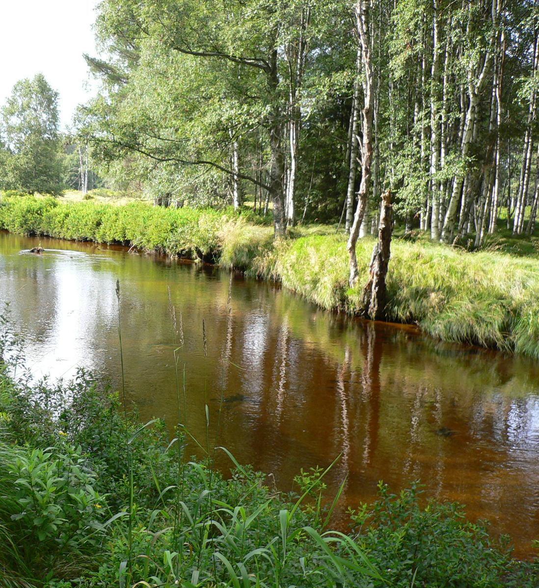 Un chef d’œuvre expliqué : La Moldau de Bedřich Smetana (2/2 ...